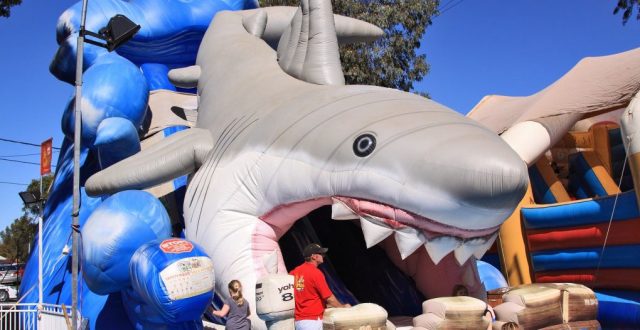 shark slide - Showtime Attractions